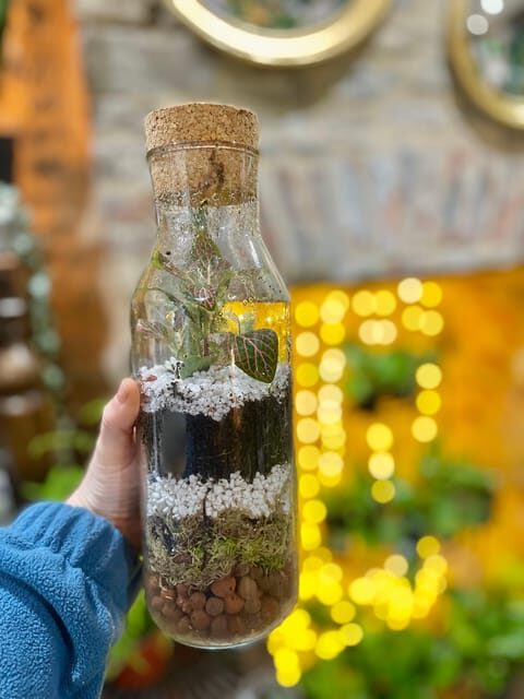 Make Your Own Terrarium in a houseplant paradise - The Sum Up