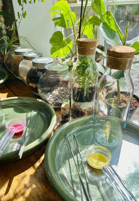 Make Your Own Terrarium in a houseplant paradise - FAQ