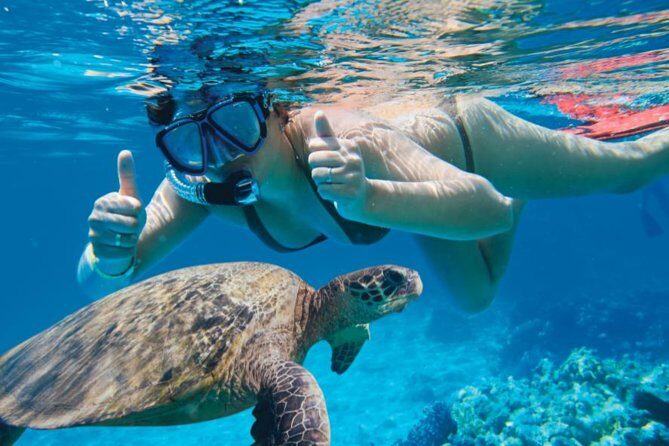 Makena Turtle Town Eco Adventure in Maui - What You Can Expect from the Makena Turtle Town Eco Adventure