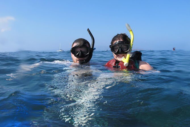 Makena Turtle Town Eco Adventure in Maui - FAQ