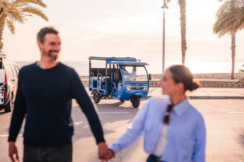 Málaga 1-hour by TukTuki: Essential and Private Tour - Value for Money: Is It Worth It?