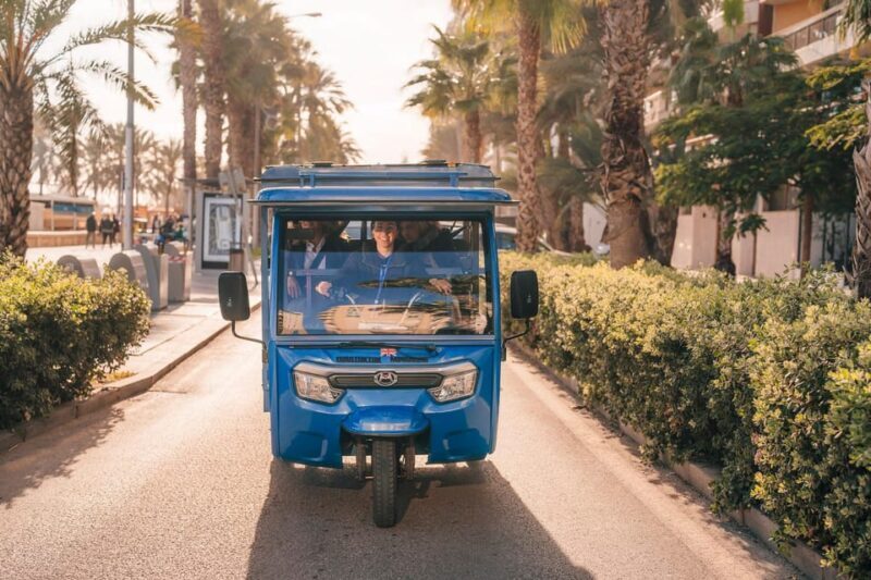 Málaga 1-hour by TukTuki: Essential and Private Tour - Practical Tips for Booking and Enjoying the Tour