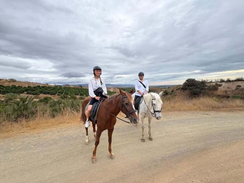 Malaga  1-hour Horseback Riding Tour with a Local Guide through the Guadalhorce Valley - FAQ
