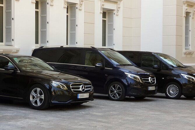 Malaga Airport (Costa del Sol) Private Arrival Transfer - Key Points