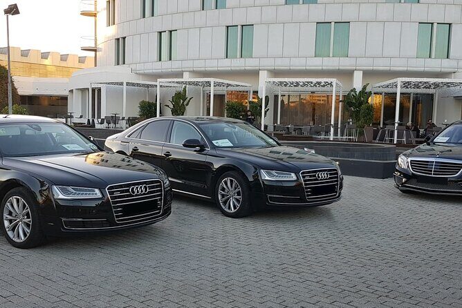 Malaga Airport (Costa del Sol) Private Departure Transfer - Why Choose This Private Transfer?