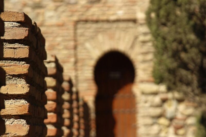 Malaga: Alcazaba and Roman Theatre Private Tour With Tickets - Who Should Book This Tour?