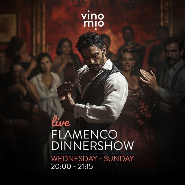 Malaga: Authentic Flamenco Dinner Show at Restaurant VinoMio - Key Points  