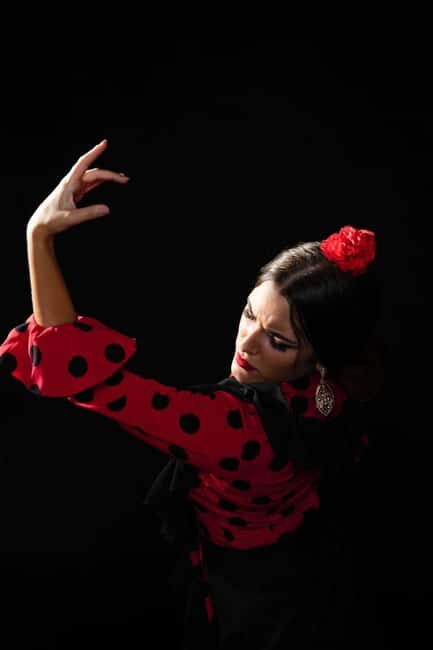 Malaga: Authentic Flamenco Dinner Show at Restaurant VinoMio - The Experience at Vino Mío: What to Expect  