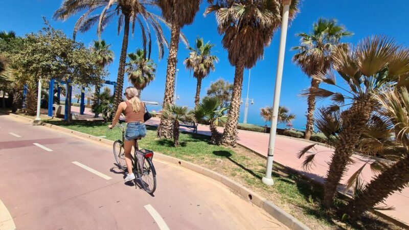 Malaga: City Bike Rental with Self-Guided Cycling Route - Westward Routes: Art, Industry, and Nature