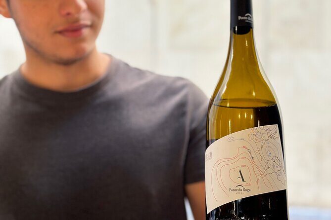 Malaga City Wine Tour - An In-Depth Look at the Malaga City Wine Tour