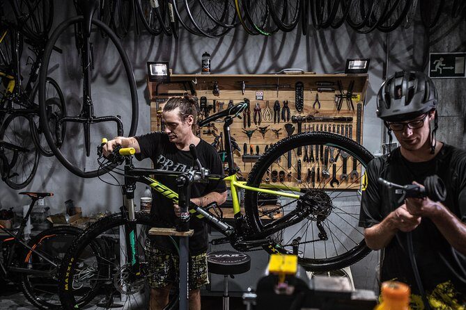 Malaga E-MTB Tour: Botanical Garden, Natural Park and Port of Malaga - Authentic Insights from Reviews