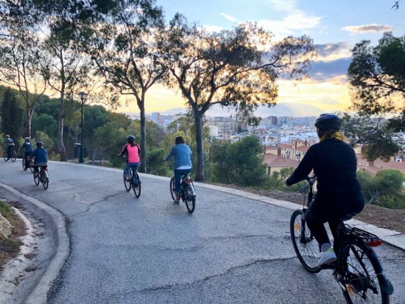 Malaga: Guided E-Bike Tour - Key Points