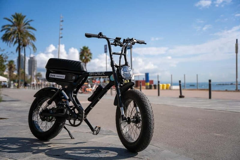 Malaga: Guided E-Fatbike Tour with Panoramic Views - Key Points