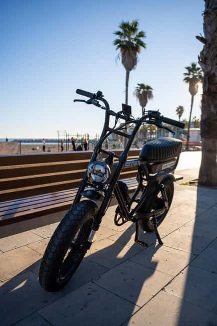 Malaga: Guided E-Fatbike Tour with Panoramic Views - Discovering Málaga on Two Wheels