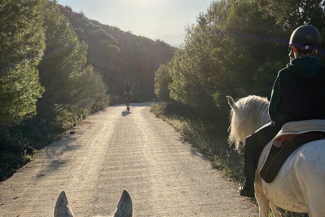 Malaga - guided horseback riding - Key Points