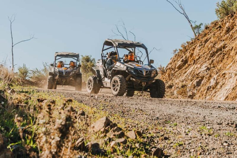 Málaga: Guided Off-Road Buggy Tour in Mijas (2 or 4 Seater) - Engaging Meta Description