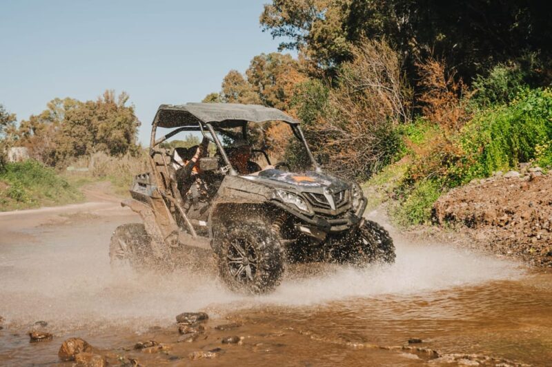 Málaga: Guided Off-Road Buggy Tour in Mijas (2 or 4 Seater) - Who Would Love This Tour?  