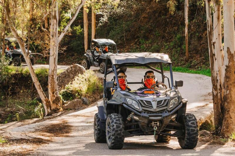 Málaga: Guided Off-Road Buggy Tour in Mijas (2 or 4 Seater) - Final Thoughts  