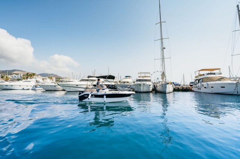Malaga: License-free Boat Rental for Dolphin Watching - A Closer Look at the Experience