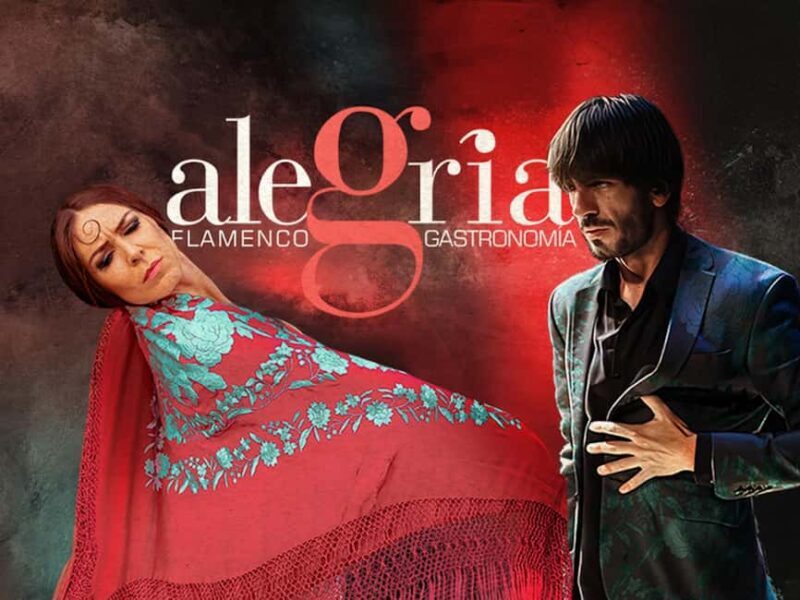 Málaga: Live Flamenco Show at Flamenco Alegría - Key Points