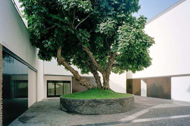 Málaga: Museo Picasso Málaga Entry Ticket - Final Thoughts