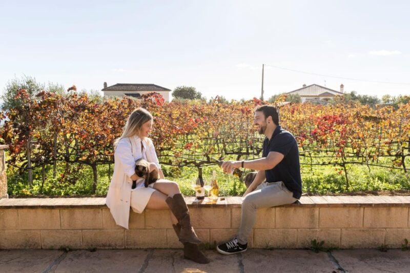 Malaga: Organic Vineyard Tour with 6 Wines, Tapas & Transfer - The Itinerary