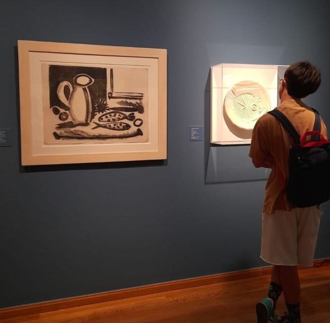 Malaga: Picassos Birthplace Museum Entrance Ticket - Practical Details and Visitor Tips