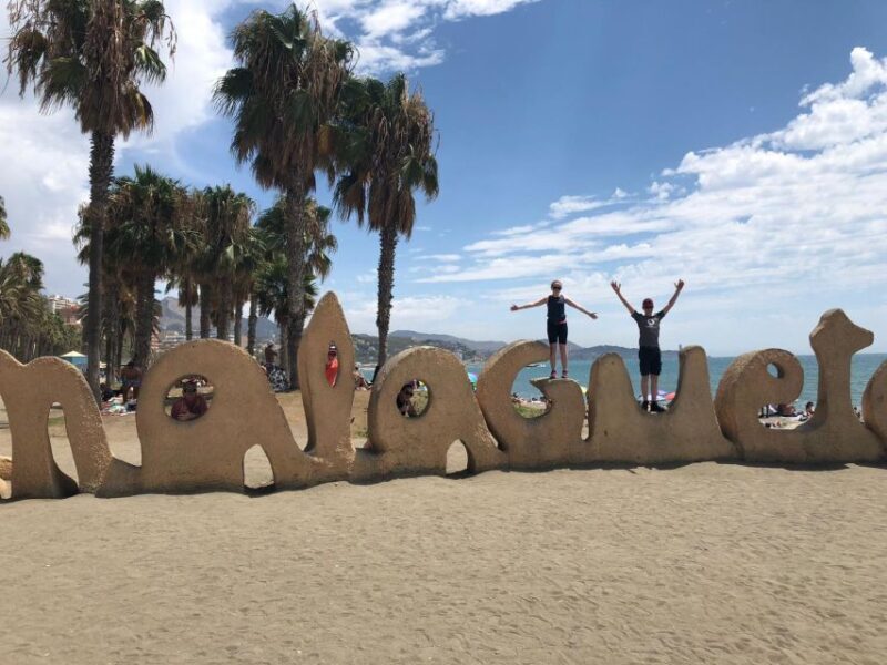 Malaga: Premium Guided Bike Tour - Key Points