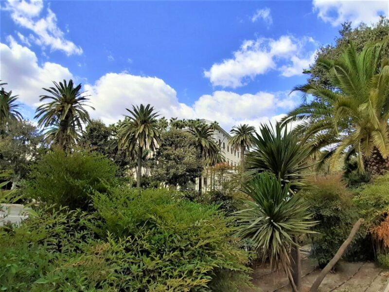 Malaga: Private walking tour - The Picasso Footsteps