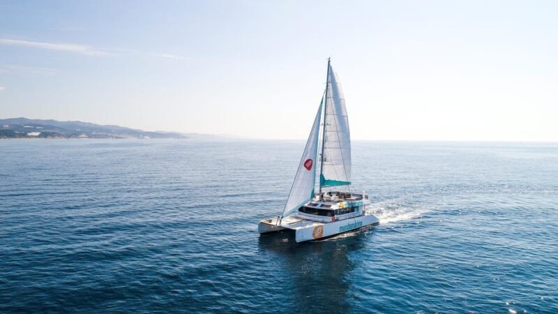 Malaga: Sailing Catamaran with Swimming and Paella Lunch - The Experience in Detail