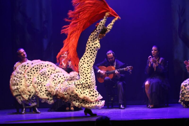 Malaga: Teatro Flamenco Malaga Live Flamenco Show - Authentic Flamenco in Malaga: A Complete Review of the Teatro Flamenco Malaga Show