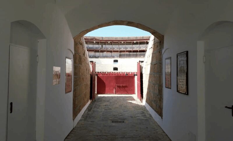 Malaga: Tour of Malagueta Bullring & Immersive Exhibition - Virtual Reality and Interactive Features