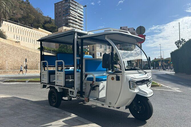 Malaga: Tuk tuk tour - Key Points