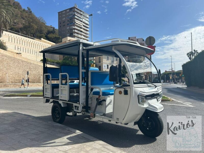 Malaga: Tuk tuk tour - Key Points
