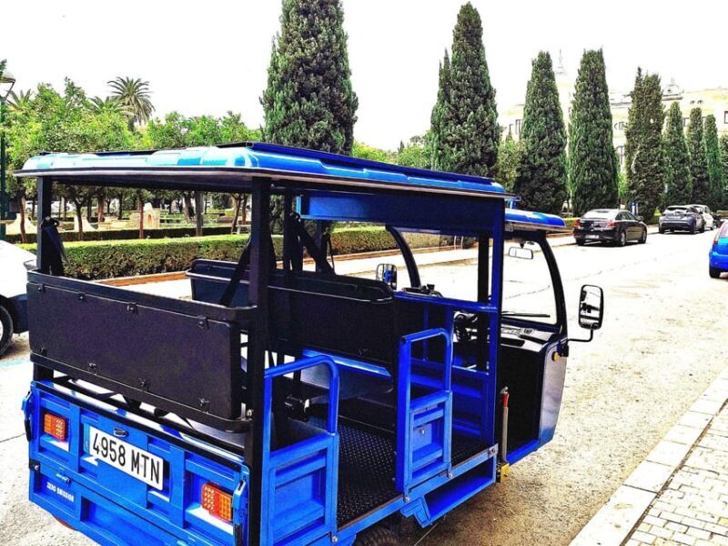 Malaga: Tuk tuk tour - A Closer Look at the Malaga Tuk Tuk Tour
