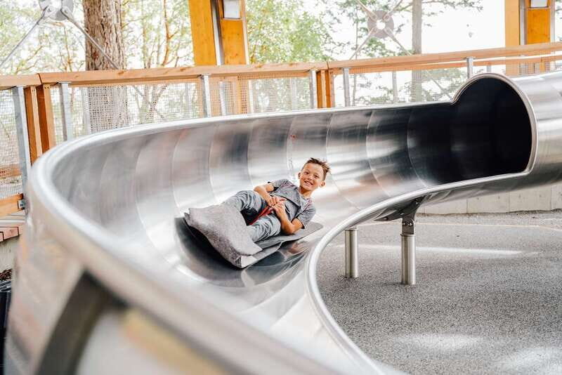 Malahat SkyWalk Ticket - The Slide and Net Experience: Add a Dash of Adventure