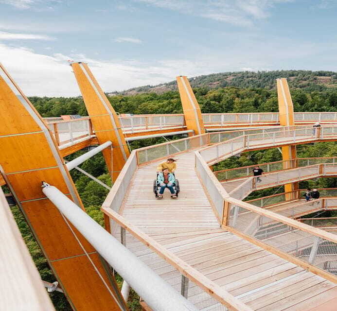 Malahat SkyWalk Ticket - Who Would Love This Experience?