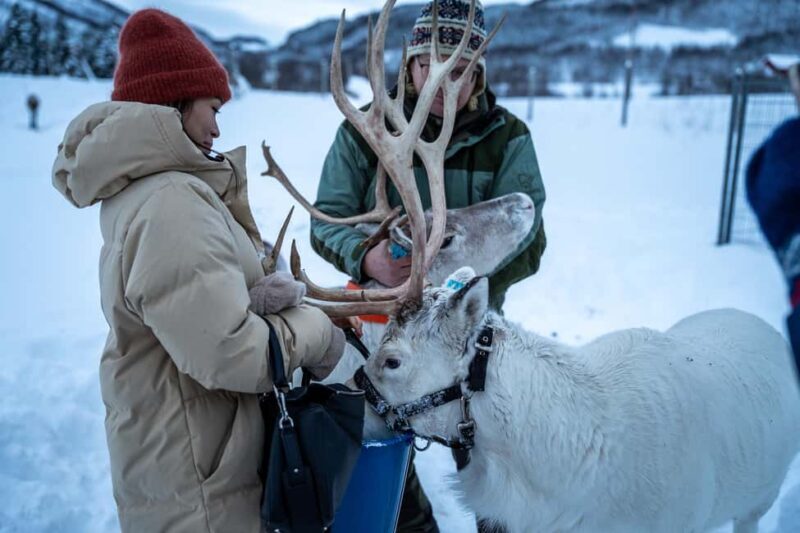 Malangen Sami Camp and Reindeer Experience with Lunch - Who Is This Tour Best Suited For?