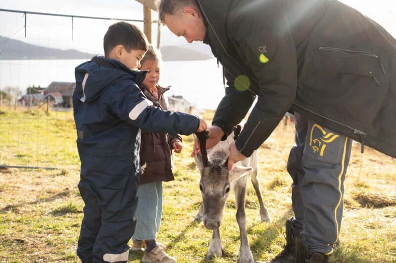 Malangen Sami Camp and Reindeer Experience with Lunch - FAQs