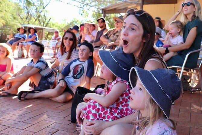 Malcolm Douglas Crocodile Park Tour Including Transportation - What Makes This Tour Worth Considering?