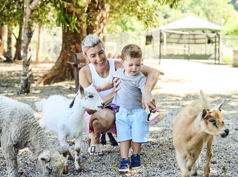 Maleny: Maleny Botanic Gardens & Bird World Entry Ticket - A Closer Look at What to Expect