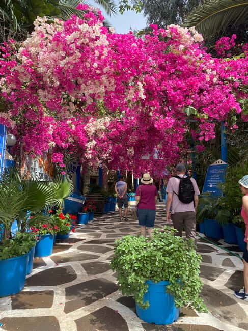 Malia: Sissi and Beyond Tuk Tuk Tour with Raki and Honey - Final Thoughts