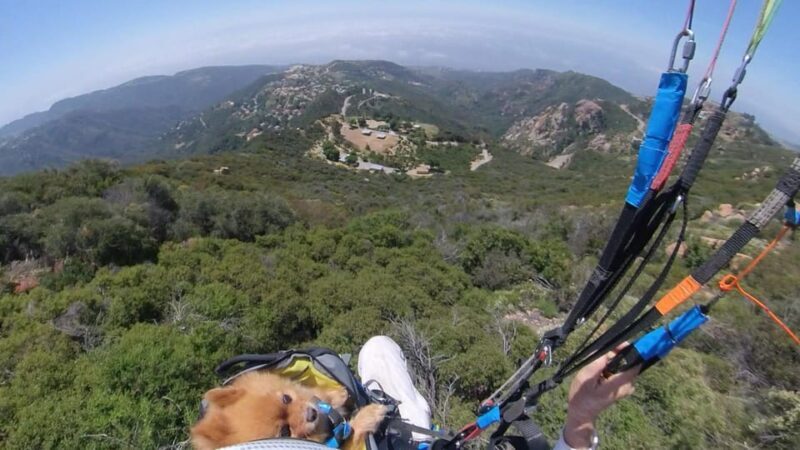 Malibu Hills to Beach: Tandem Paragliding Flight Adventure - Authentic Insights from Reviews