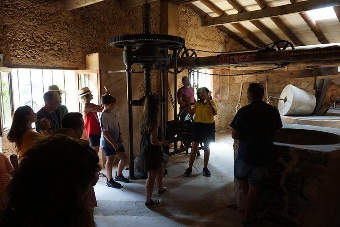 Mallorca: 5-hours Hidden Marvels Tour - Who Is This Tour Best For?