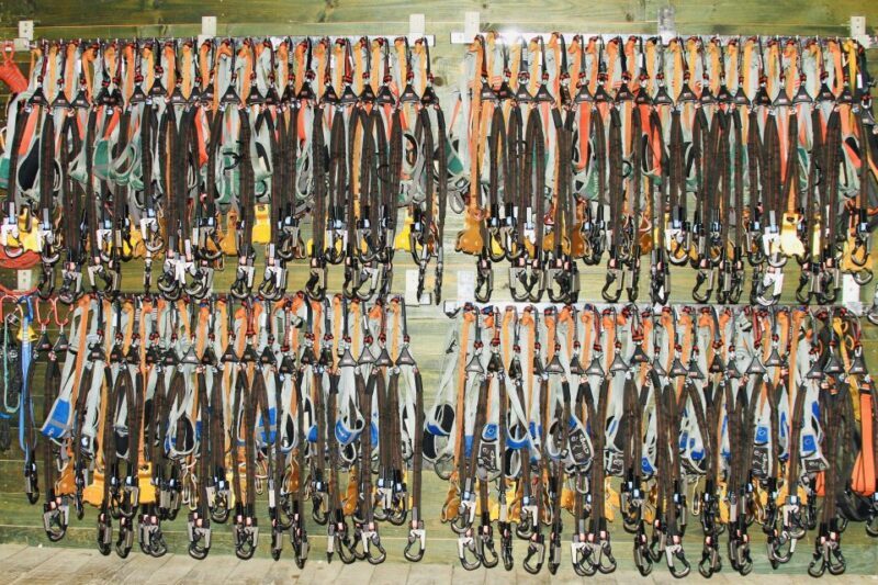 Mallorca: Adrenaline Tree Top Adventure Entry Ticket - Final Thoughts