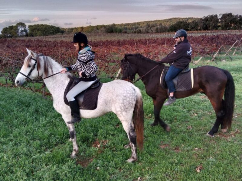 Mallorca: Authentic Horseback Ride in Rural Mallorca - What Makes This Horseback Ride Special?