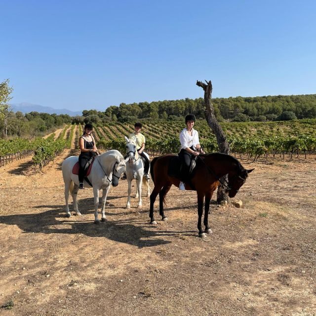 Mallorca: Authentic Horseback Ride in Rural Mallorca - The Itinerary: What to Expect