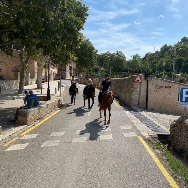 Mallorca: Authentic Horseback Ride in Rural Mallorca - The Practicalities: Pricing, Duration, and Logistics