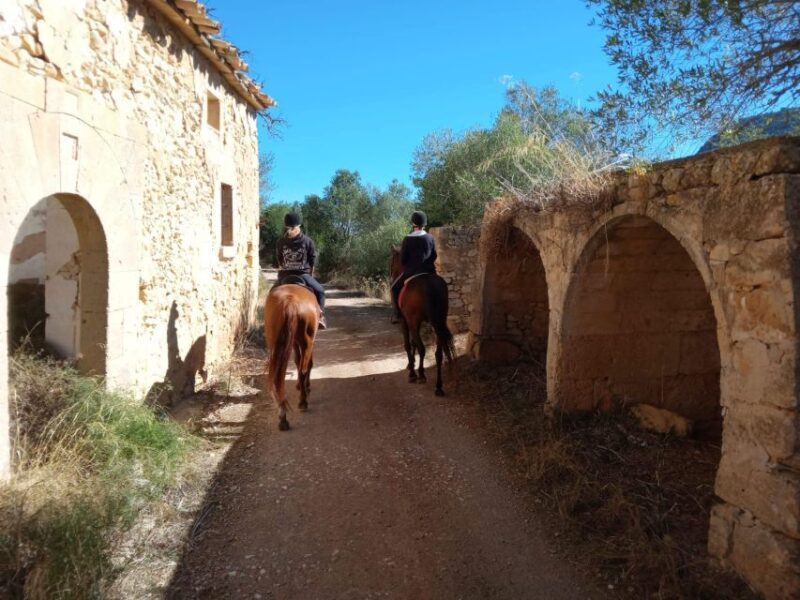 Mallorca: Authentic Horseback Ride in Rural Mallorca - What to Consider Before Booking