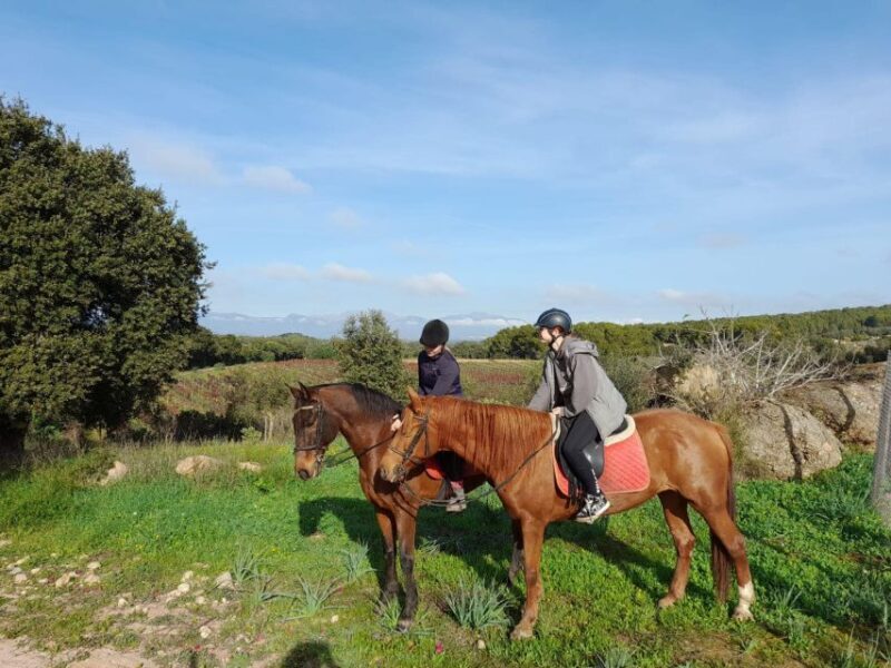 Mallorca: Authentic Horseback Ride in Rural Mallorca - FAQ